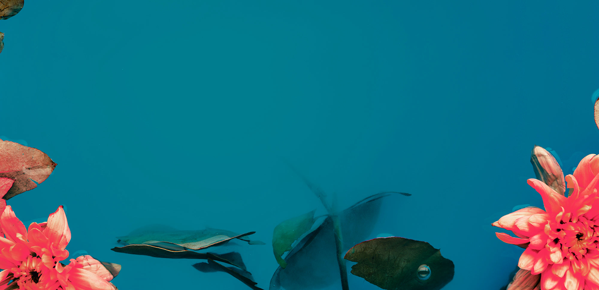 Tizo – Flourish Skin Therapy